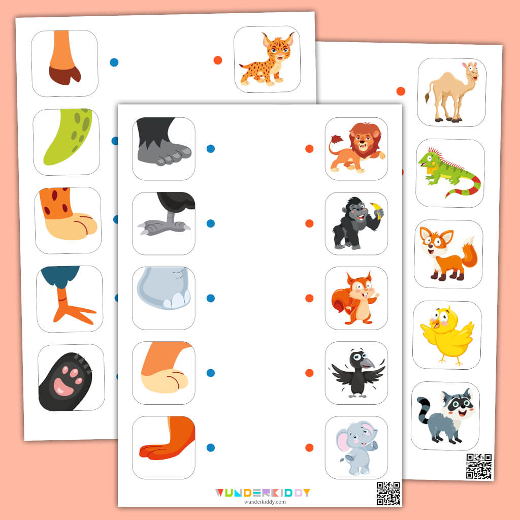 Printable Animal Paw Match-Up Learning Worksheet for Preschool