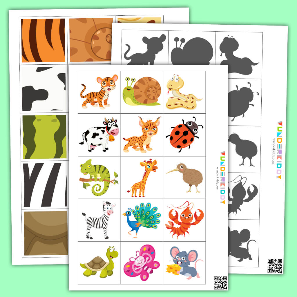 Printable Animal Skin and Shadow Montessori Cards for Toddlers
