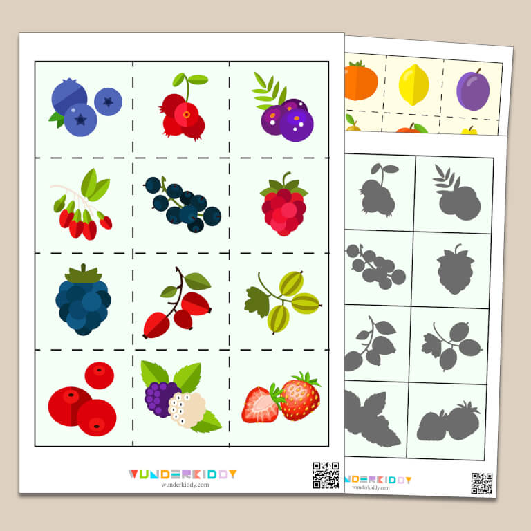 Activity sheet «Find the shadow» - Download or print for free