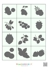 Activity sheet «Find the shadow» - Download or print for free