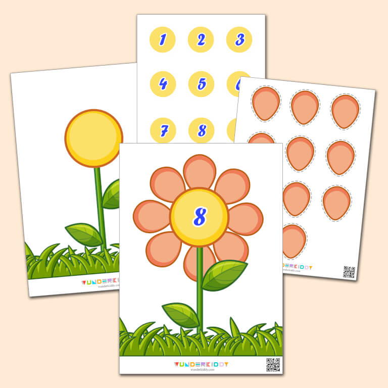 Activity sheet «Flower and petals» - Download or print for free