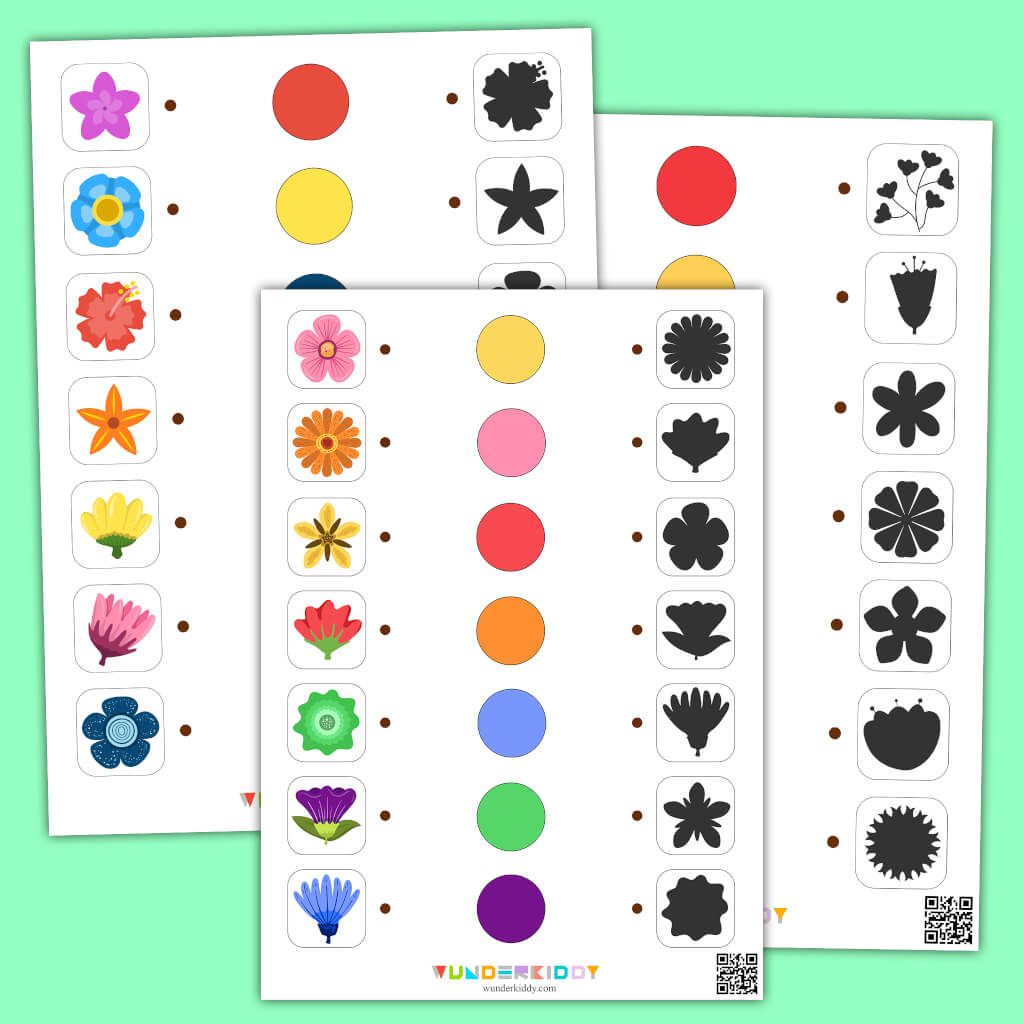 Printable Flowers Color and Shadow Matching Worksheet