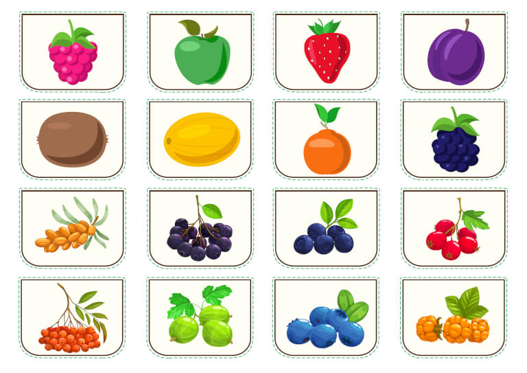 Activity sheet «The colors of fruits and berries» - Download or print ...