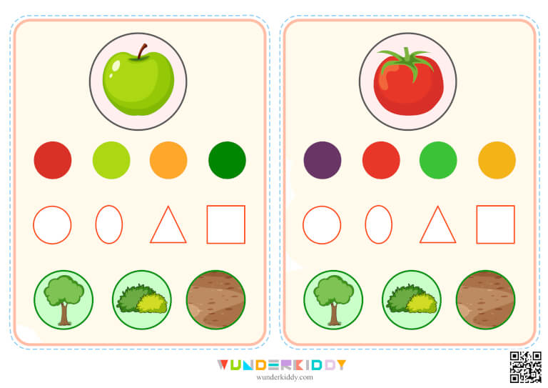 Activity sheet «Fruits and vegetables» - Download or print for free