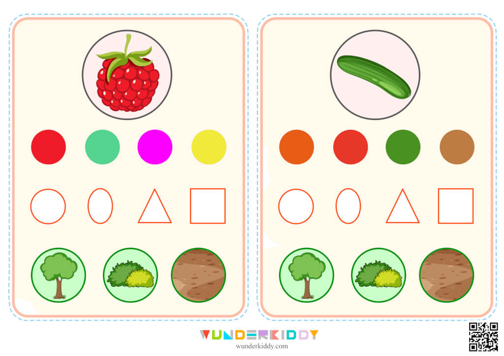 Activity sheet «Fruits and vegetables» - Download or print for free