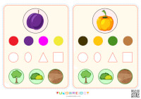 Activity sheet «Fruits and vegetables» - Download or print for free