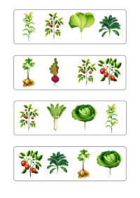 Activity sheet «Garden» - Download or print for free
