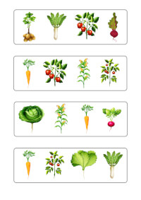 Activity sheet «Garden» - Download or print for free