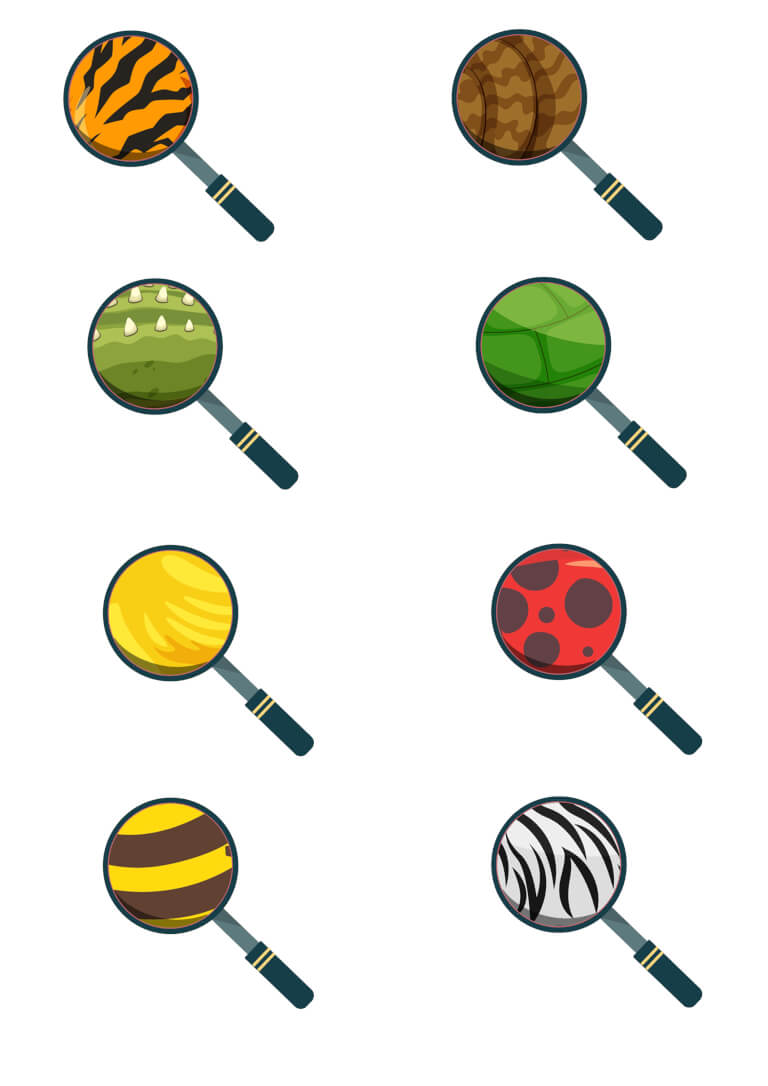 Activity sheet «Guess the animal» - Download or print for free