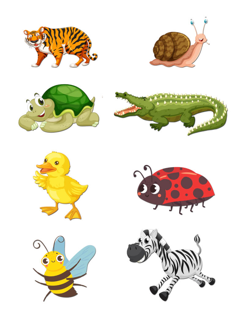 Activity sheet «Guess the animal» - Download or print for free