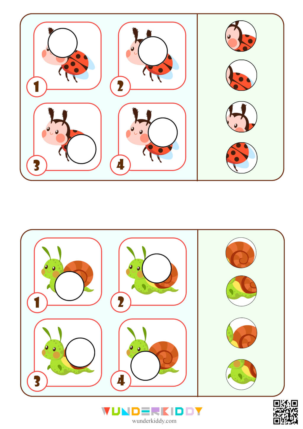 Activity sheet «Insects» - Download or print for free