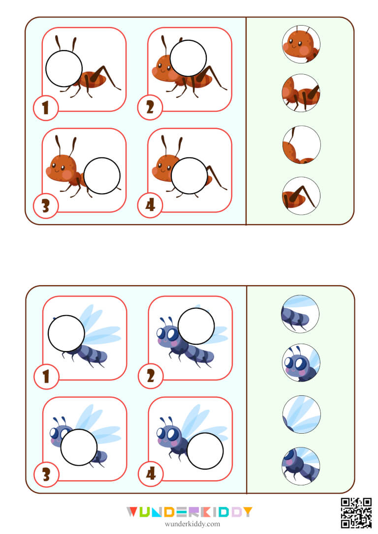 Activity sheet «Insects» - Download or print for free