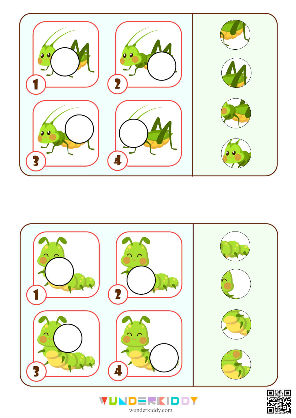 Activity sheet «Insects» - Download or print for free