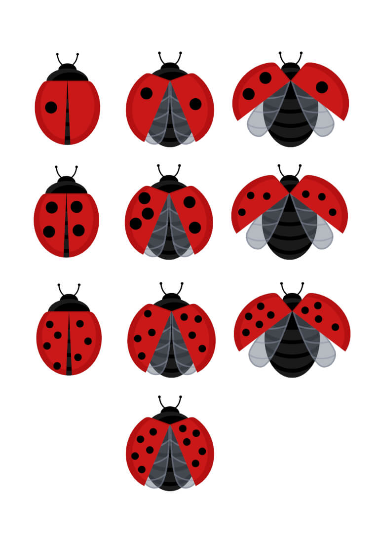 Activity sheet «Ladybug and flowers» - Download or print for free