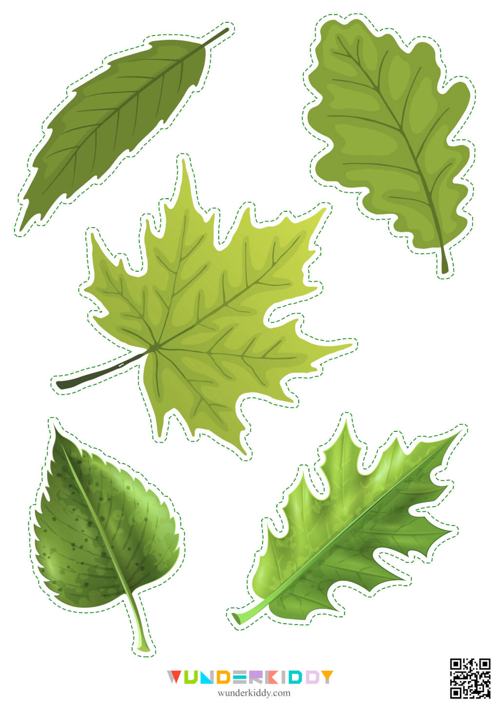Activity sheet «Leaf sorting» - Download or print for free