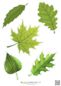 Activity sheet «Leaf sorting» - Download or print for free