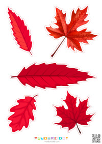 Activity sheet «Leaf sorting» - Download or print for free