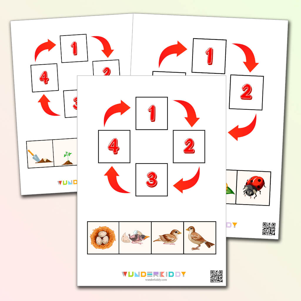 Printable Worksheet for Kindergarten Animals and Plants Life Cycle