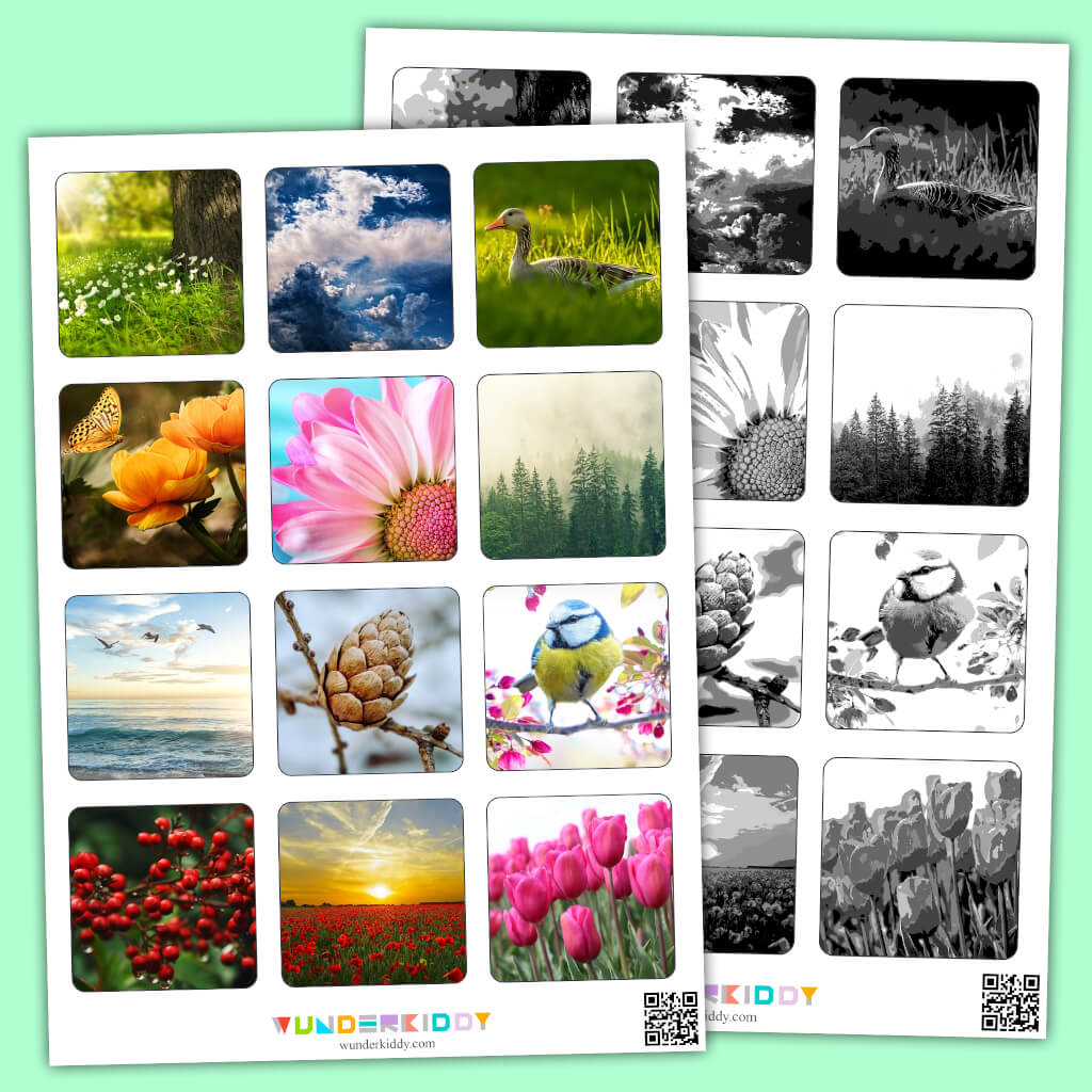 Printable Nature Cards Matching Visual Activity for Kids