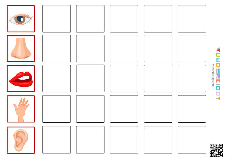 Activity sheet «The five senses» - Download or print for free