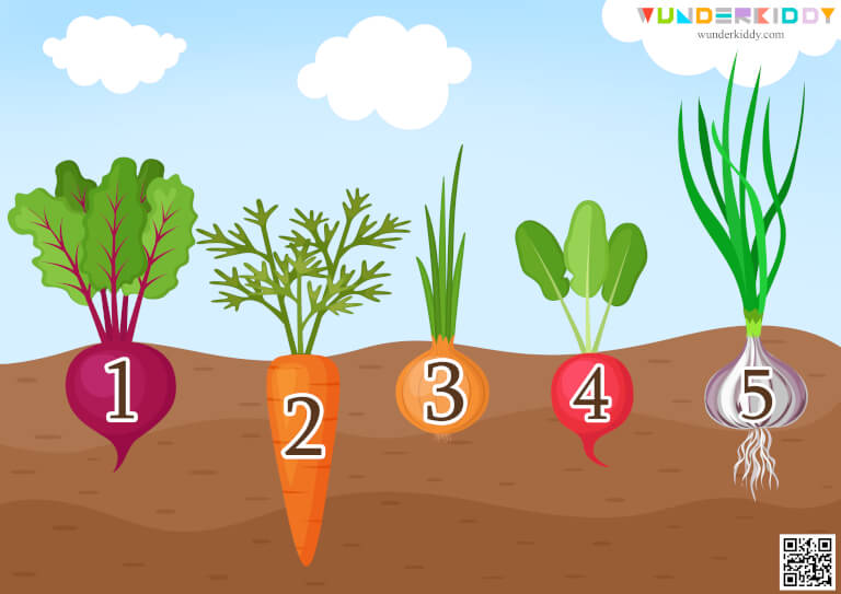 Activity sheet «Watering the garden» - Download or print for free