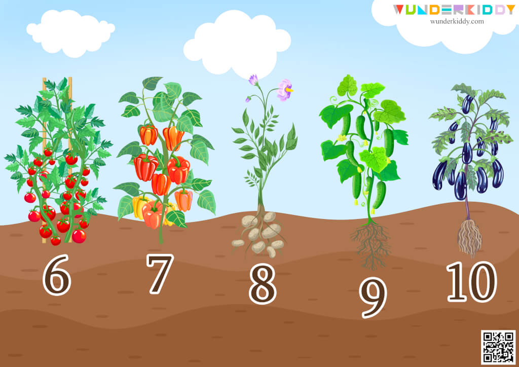 Activity sheet «Watering the garden» - Download or print for free