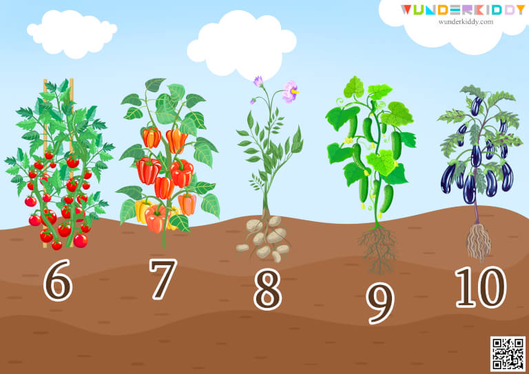 Activity sheet «Watering the garden» - Download or print for free