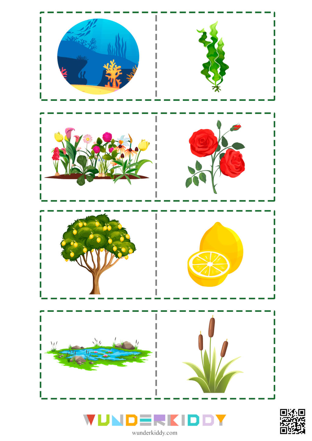 Activity sheet «What grows where?» - Download or print for free