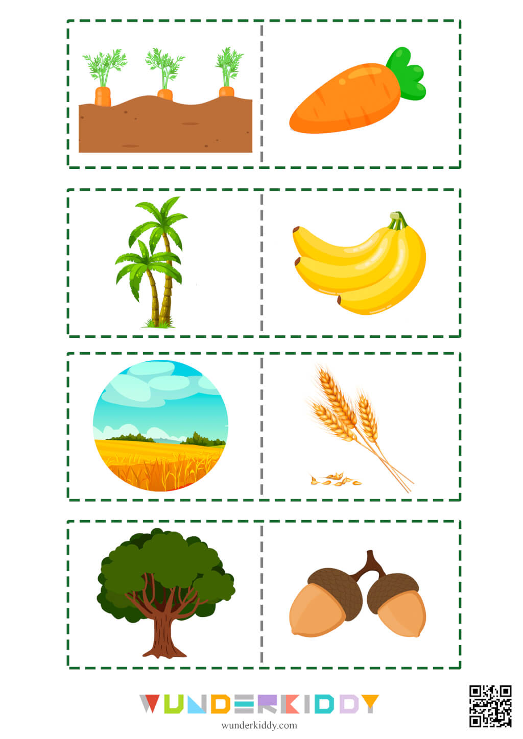 Activity sheet «What grows where?» - Download or print for free